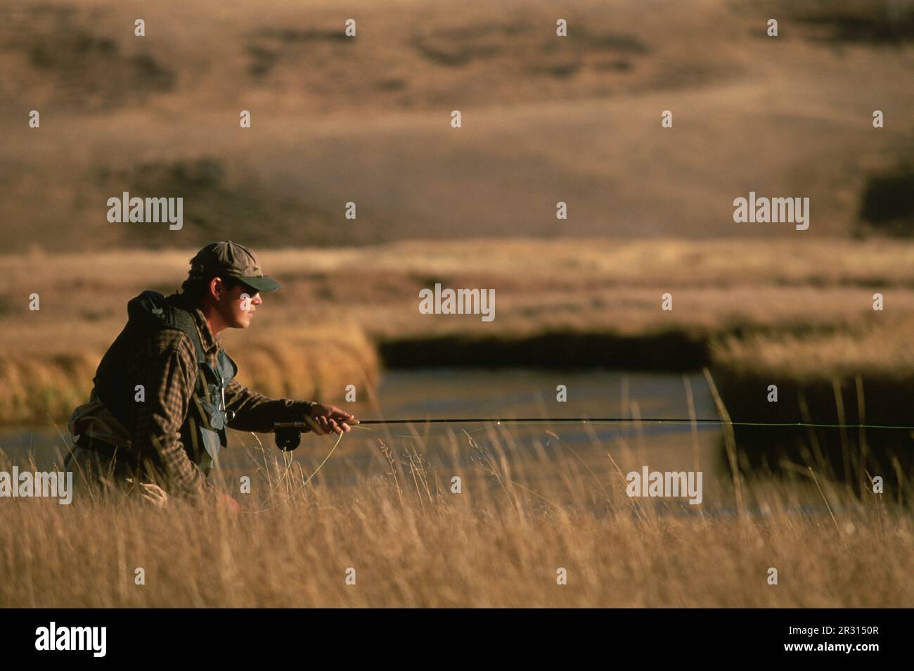 A kneeling fly-fisherman casts for a trout on a small stream in Jackson ...