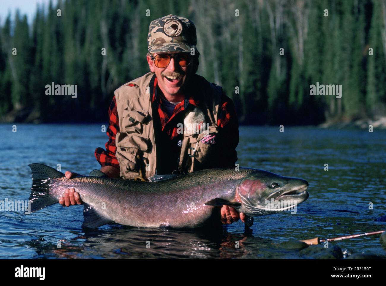 A smiling fly-fisherman holds a trophy steelhead trout in British ...