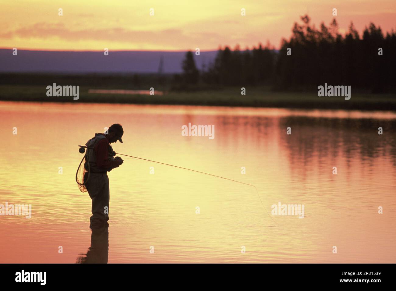 Flyfishing snake river hi-res stock photography and images - Alamy