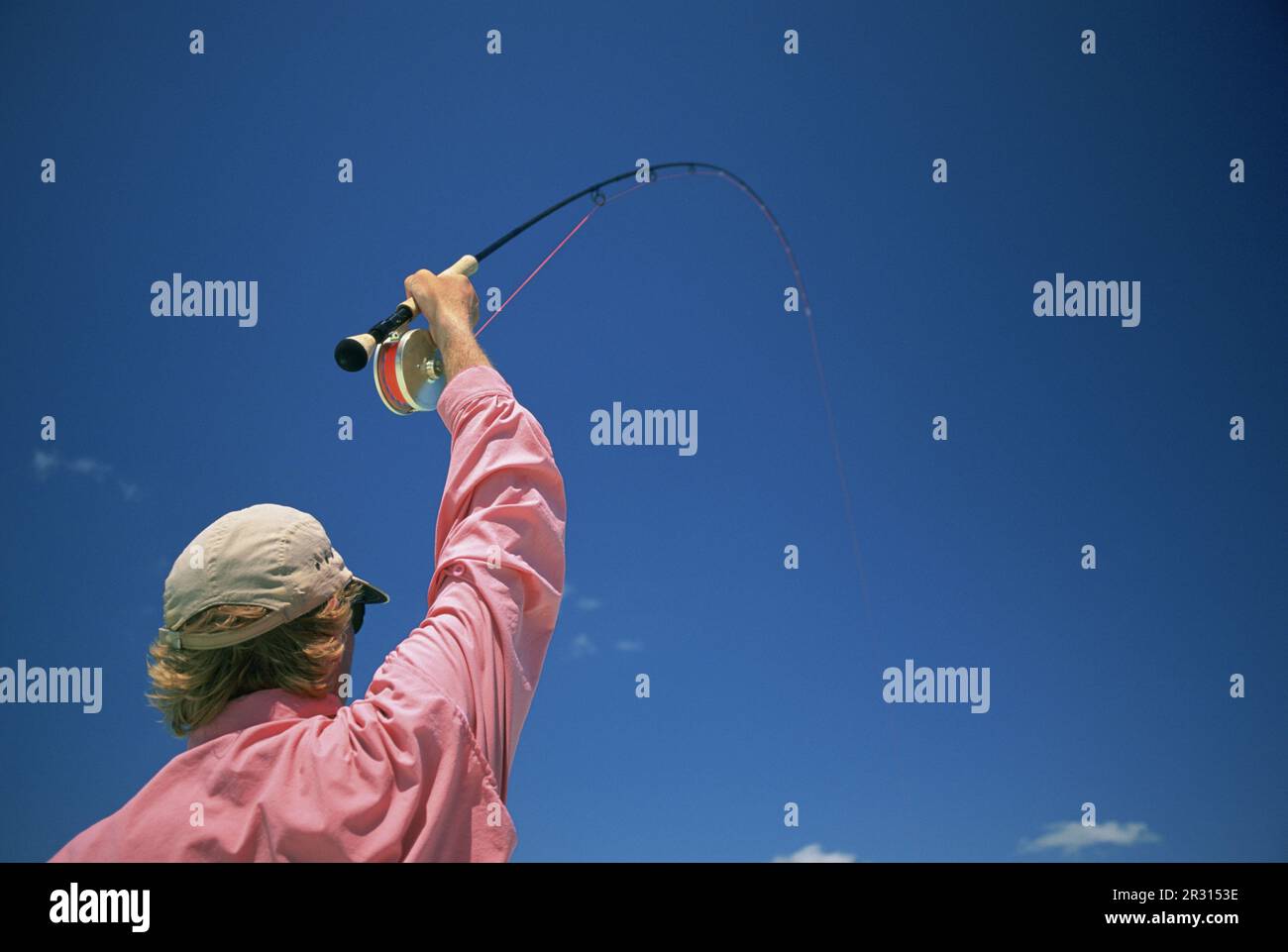 A saltwater fly-fisherman fights a fish Stock Photo - Alamy