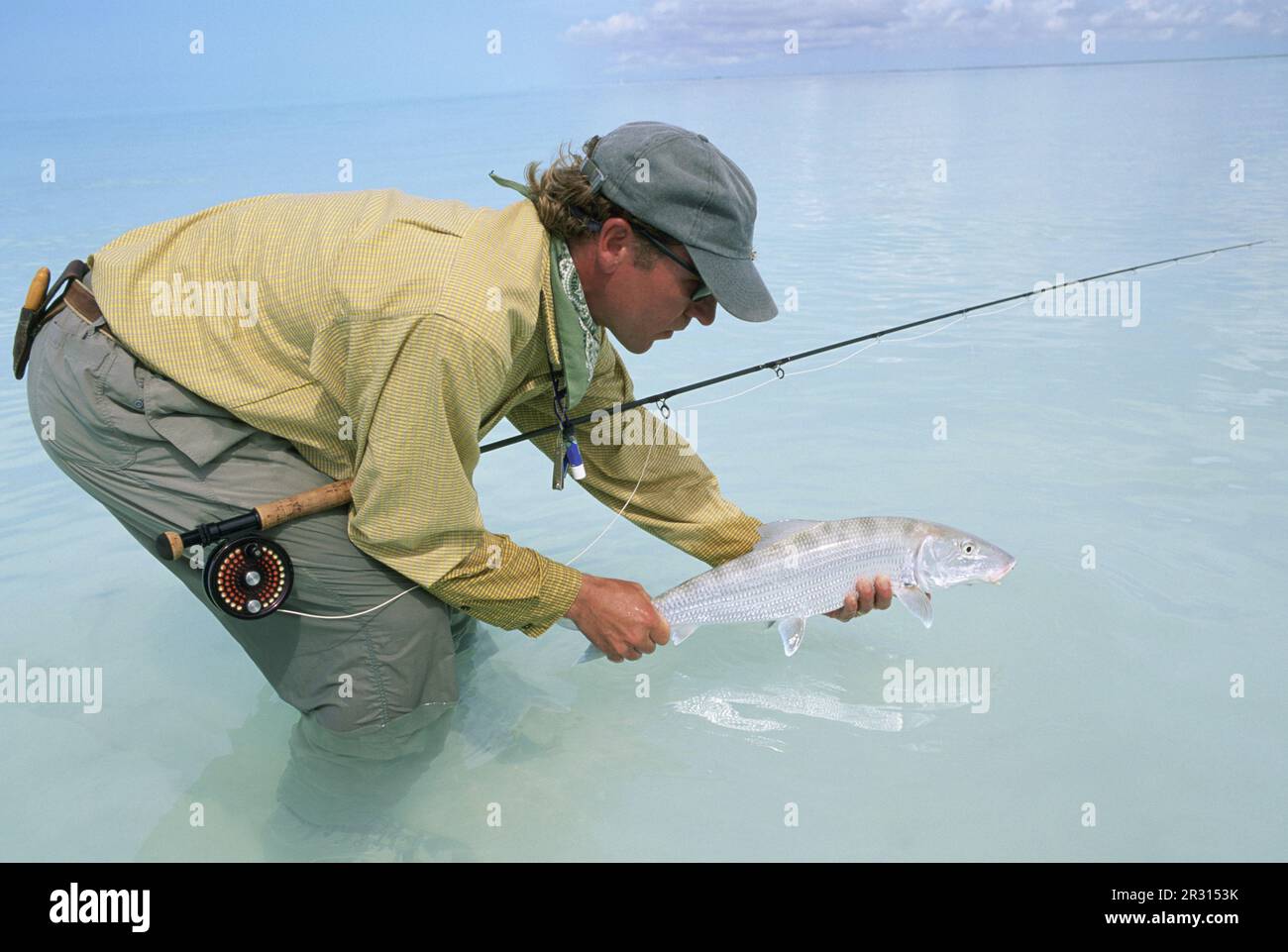 Andros trophy hi-res stock photography and images - Alamy