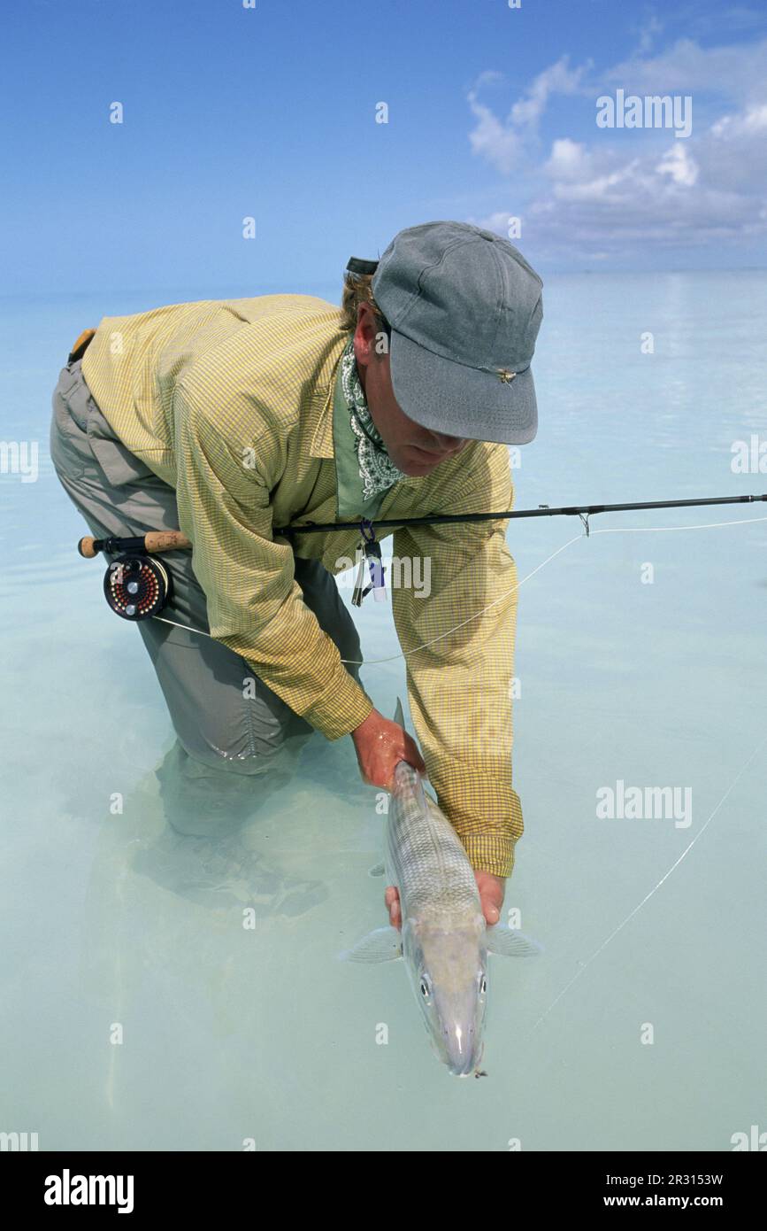 A saltwater fly-fisherman holds a trophy bonefish Stock Photo - Alamy