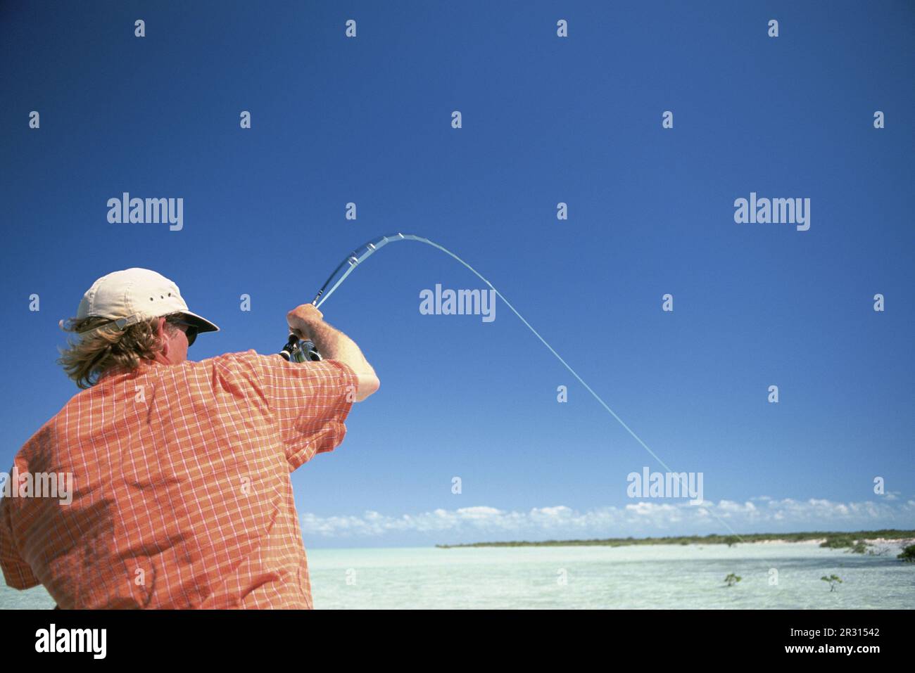 A fly-fisherman with bent rod lands a fish in the Bahamas Stock Photo ...