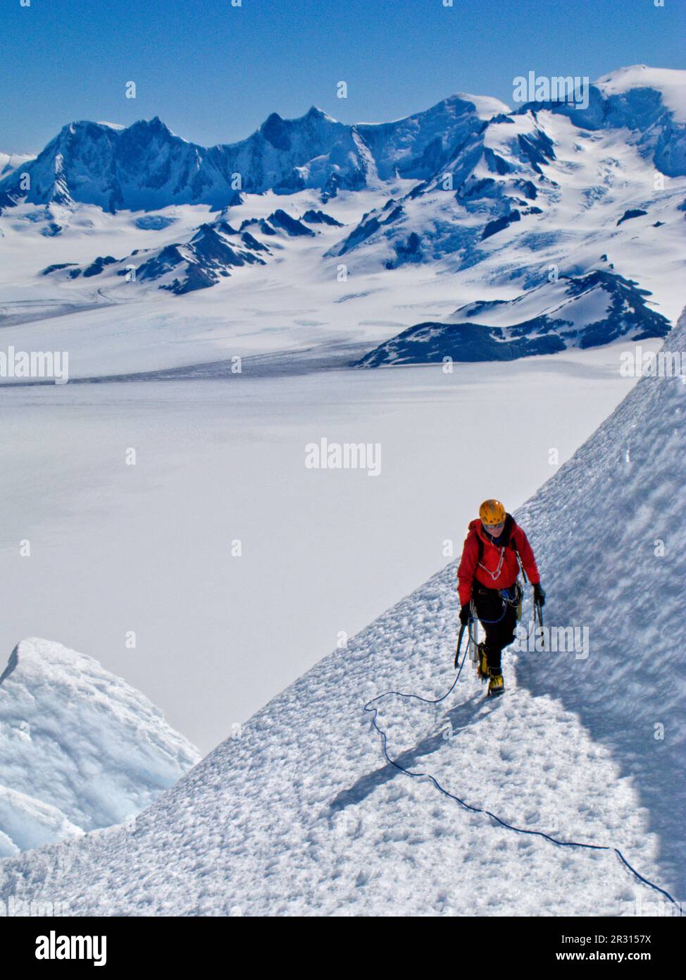 An alpinist climbs an ice slope on the west face of Cerro Torre Stock ...