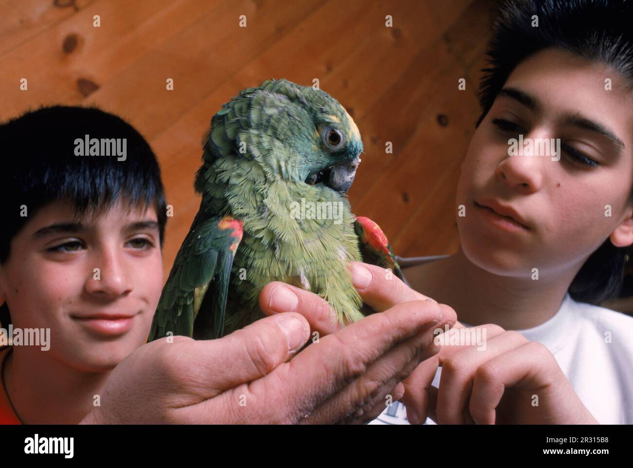 Elliot family hi-res stock photography and images - Alamy