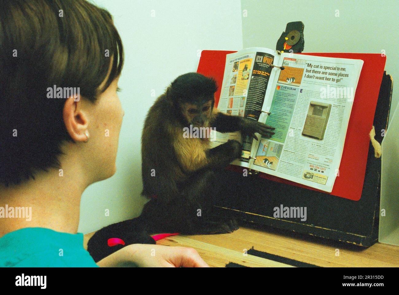 Helping hands monkey hi-res stock photography and images - Alamy