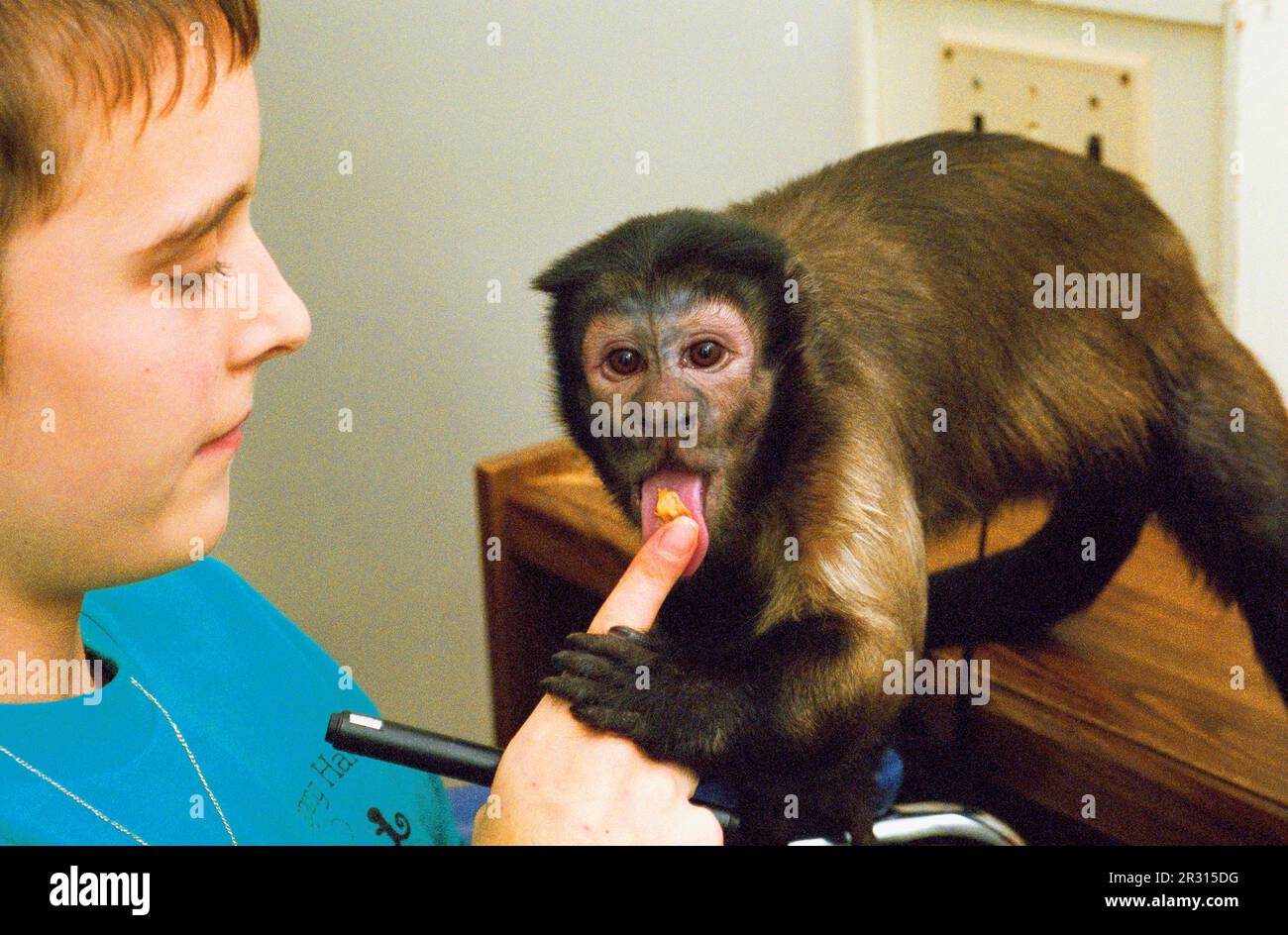 Helping hands monkey hi-res stock photography and images - Alamy