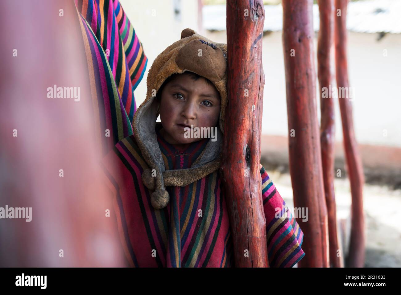 Andean boy from Peru with captivating gaze stares at the camera Stock ...