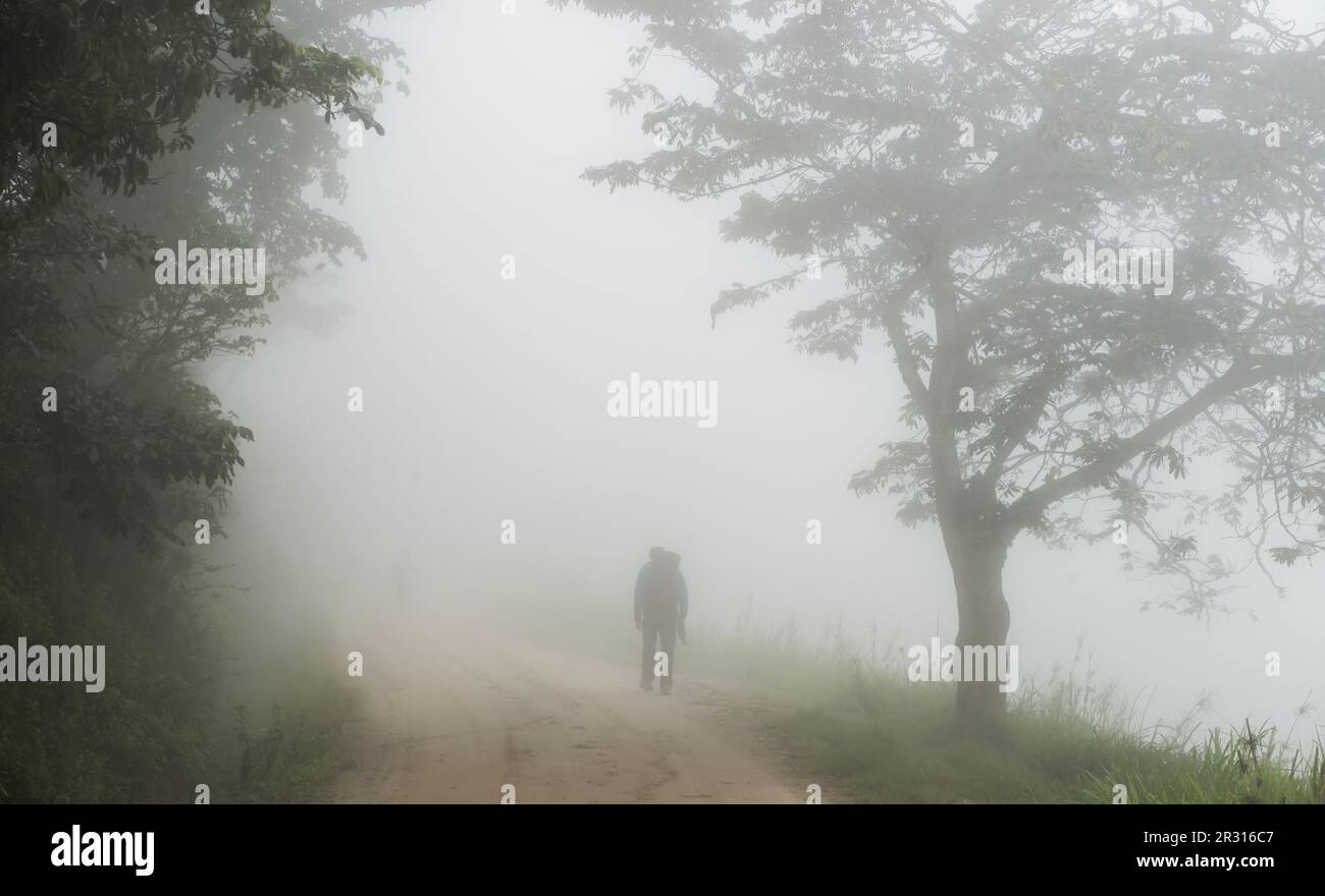 Man walking in the fog along a country road with trees Stock Photo - Alamy