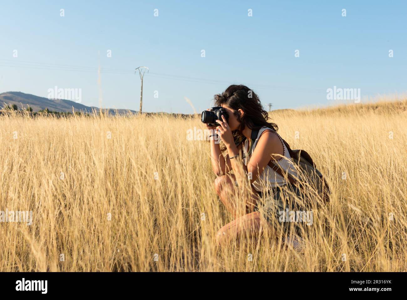 Young woman is taking a picture with a camera in a meadow at sun Stock ...
