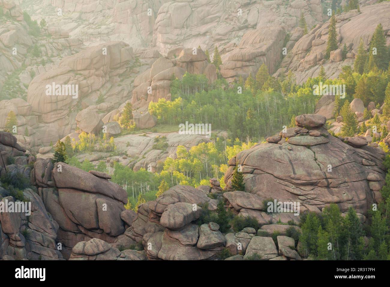 Granite rock formations and backlit aspen trees at sunset Stock Photo ...