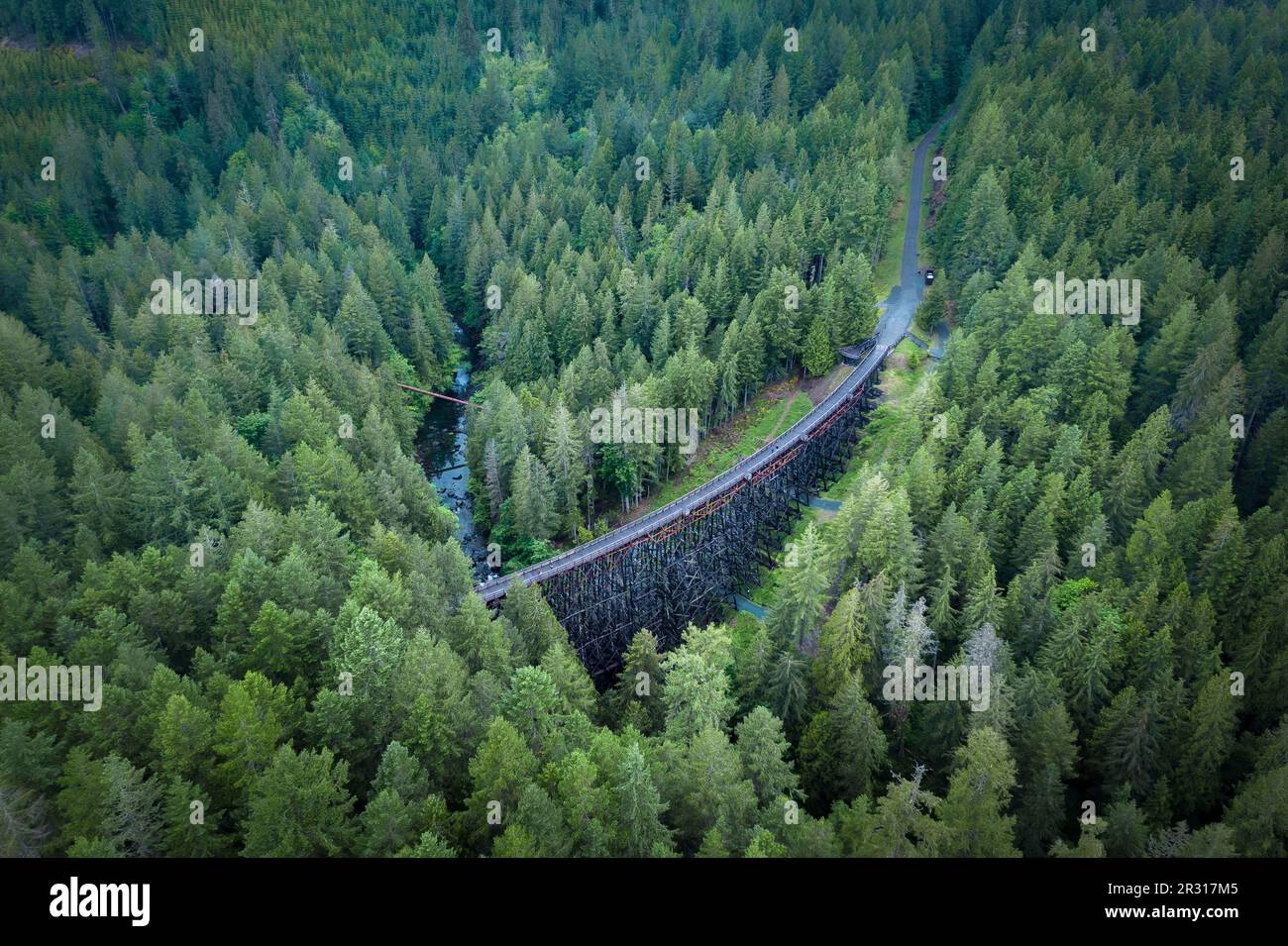 Kinsol Trestle in the middle of the forest, Vancouver Island, Canada ...