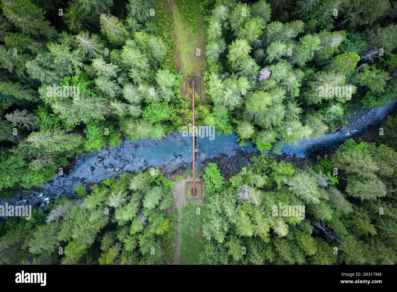 Pine forest and a river from above at Vancouver Island, Canada Stock ...
