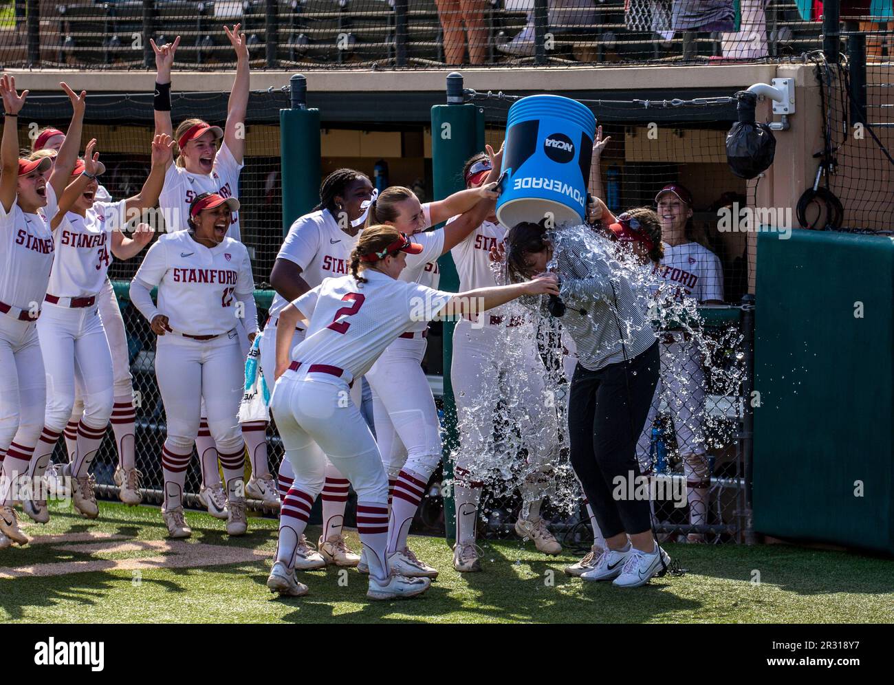 Powerade shower zsoftball hi-res stock photography and images - Alamy