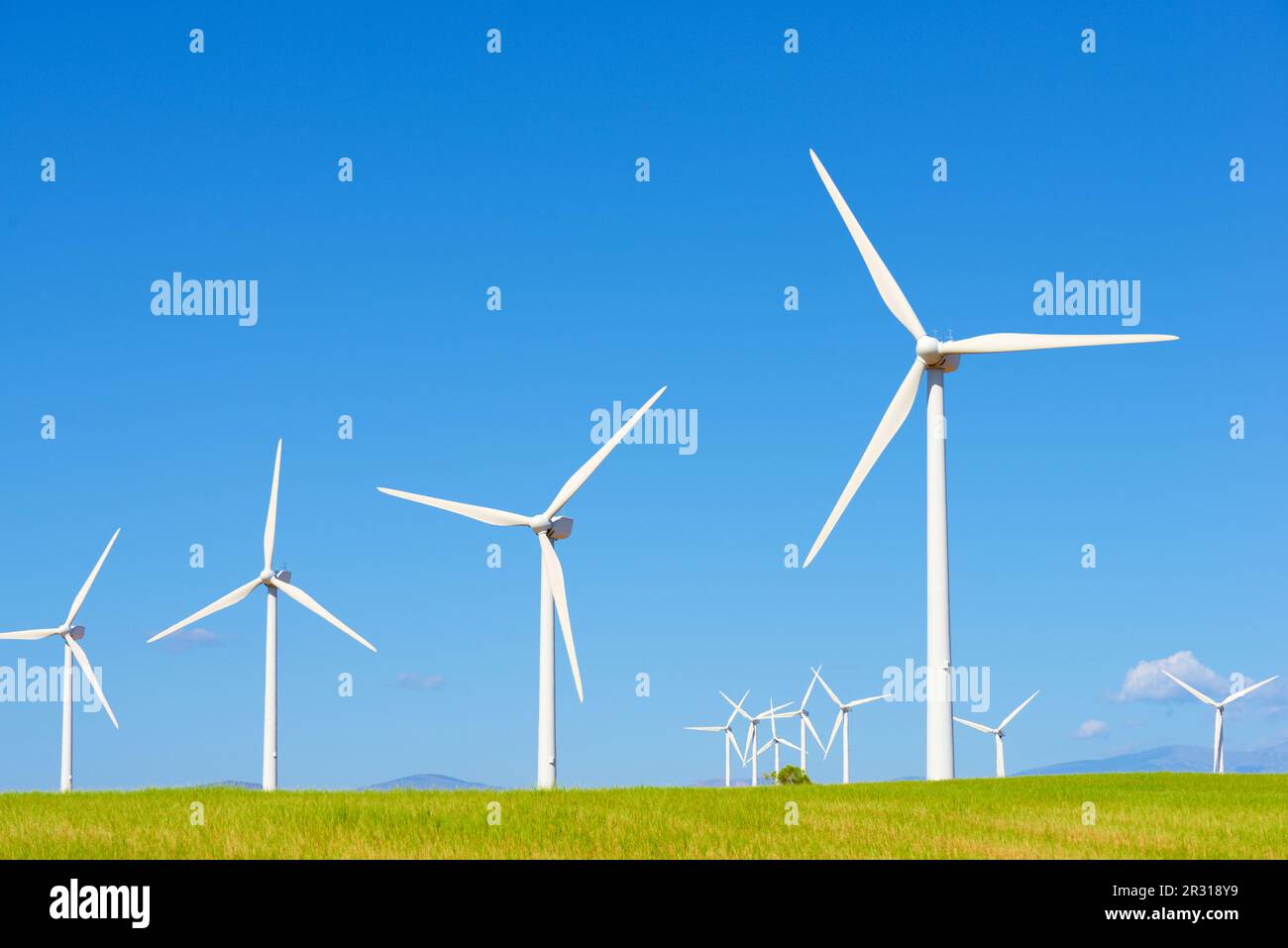 Wind turbine generators for renewable electrical energy production ...