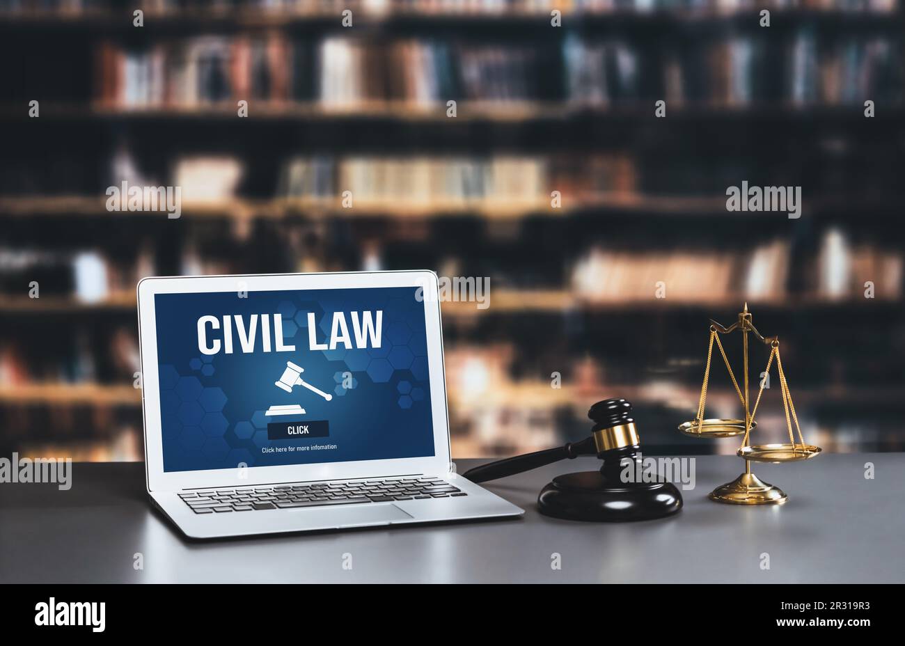 Civil law astute information showing on laptop computer screen for ...