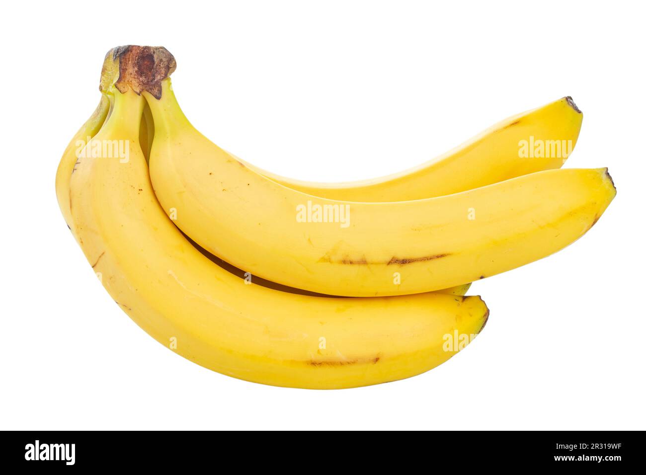 Ripe bananas of uniform yellow color, isolated on white background ...