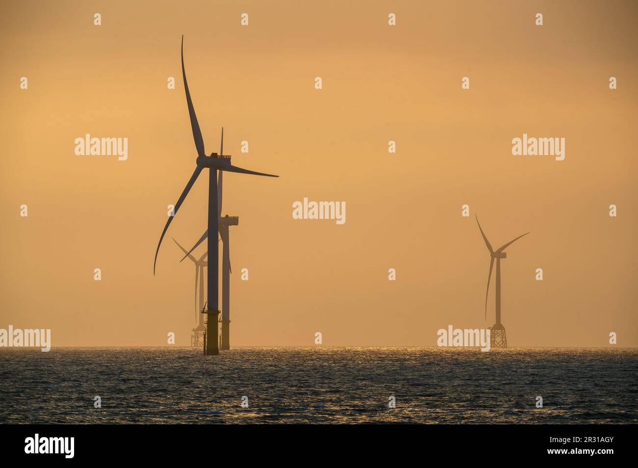 Fans of wind turbines spin over the sparkling sea. An offshore wind ...