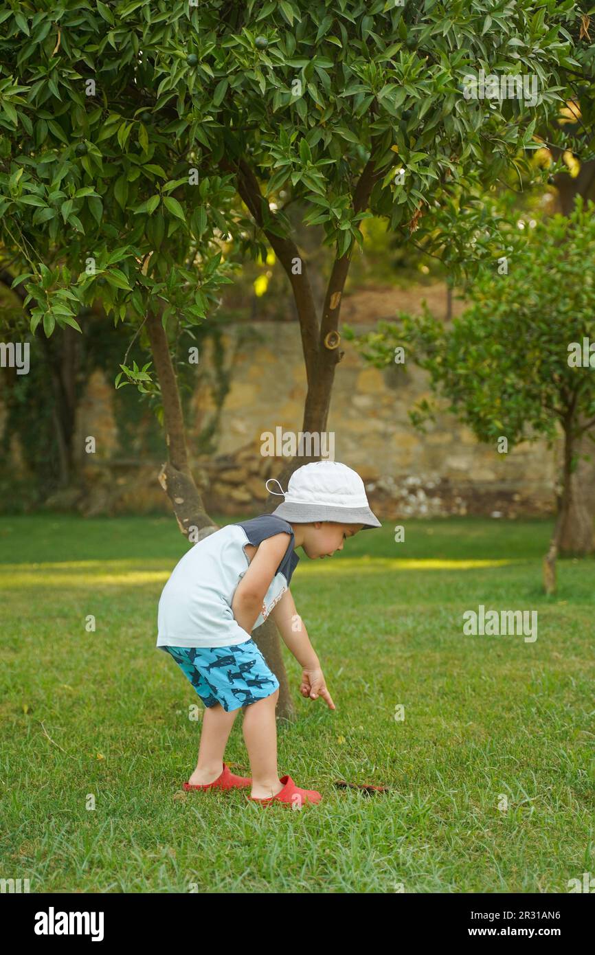 The child points with interest to something in the grass in the summer ...