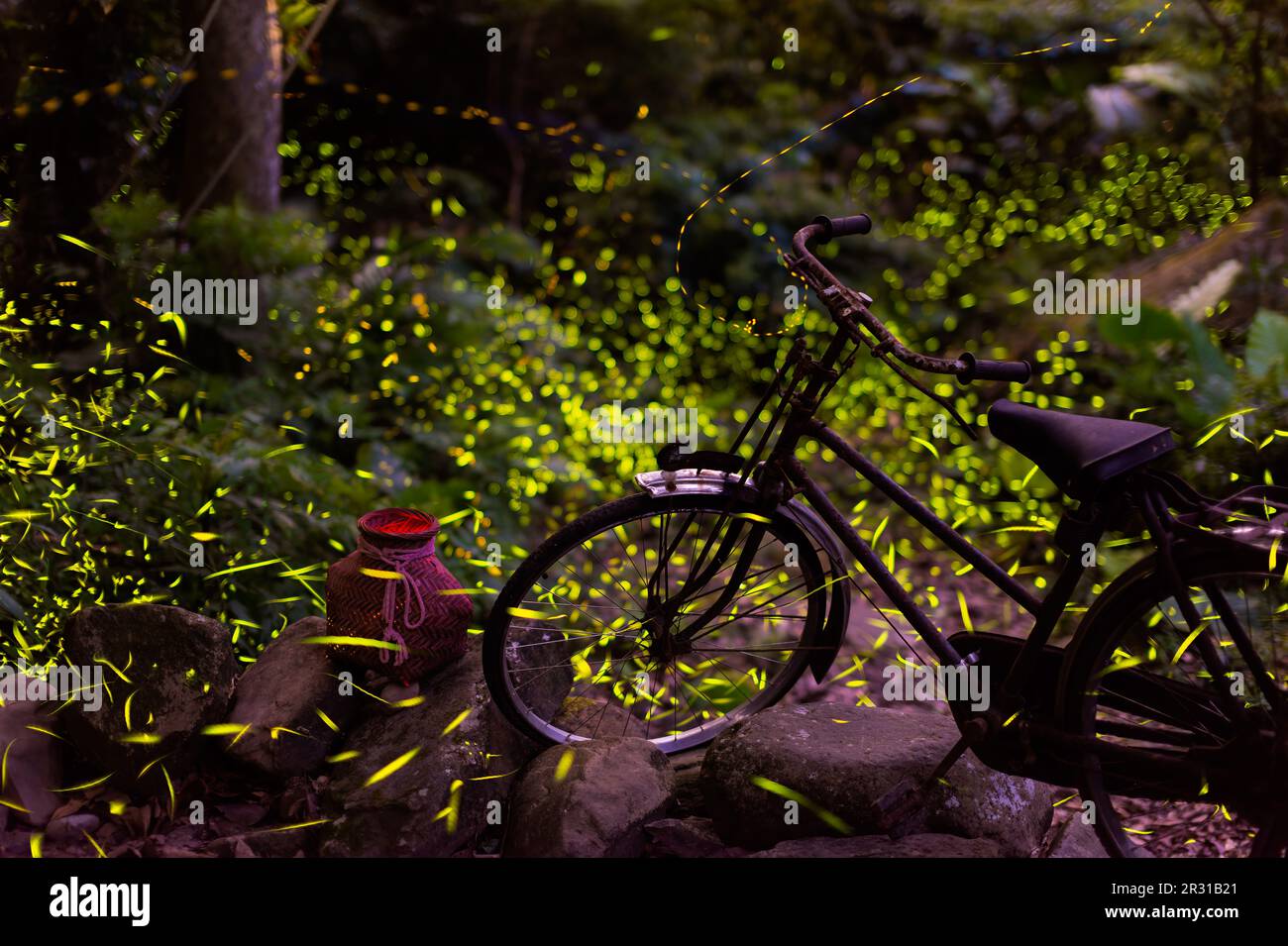 Fireflies flicker and flutter around the fish basket and the old ...