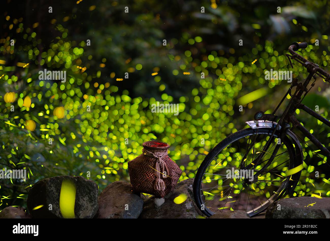 Fireflies flicker and flutter around the fish basket and the old ...