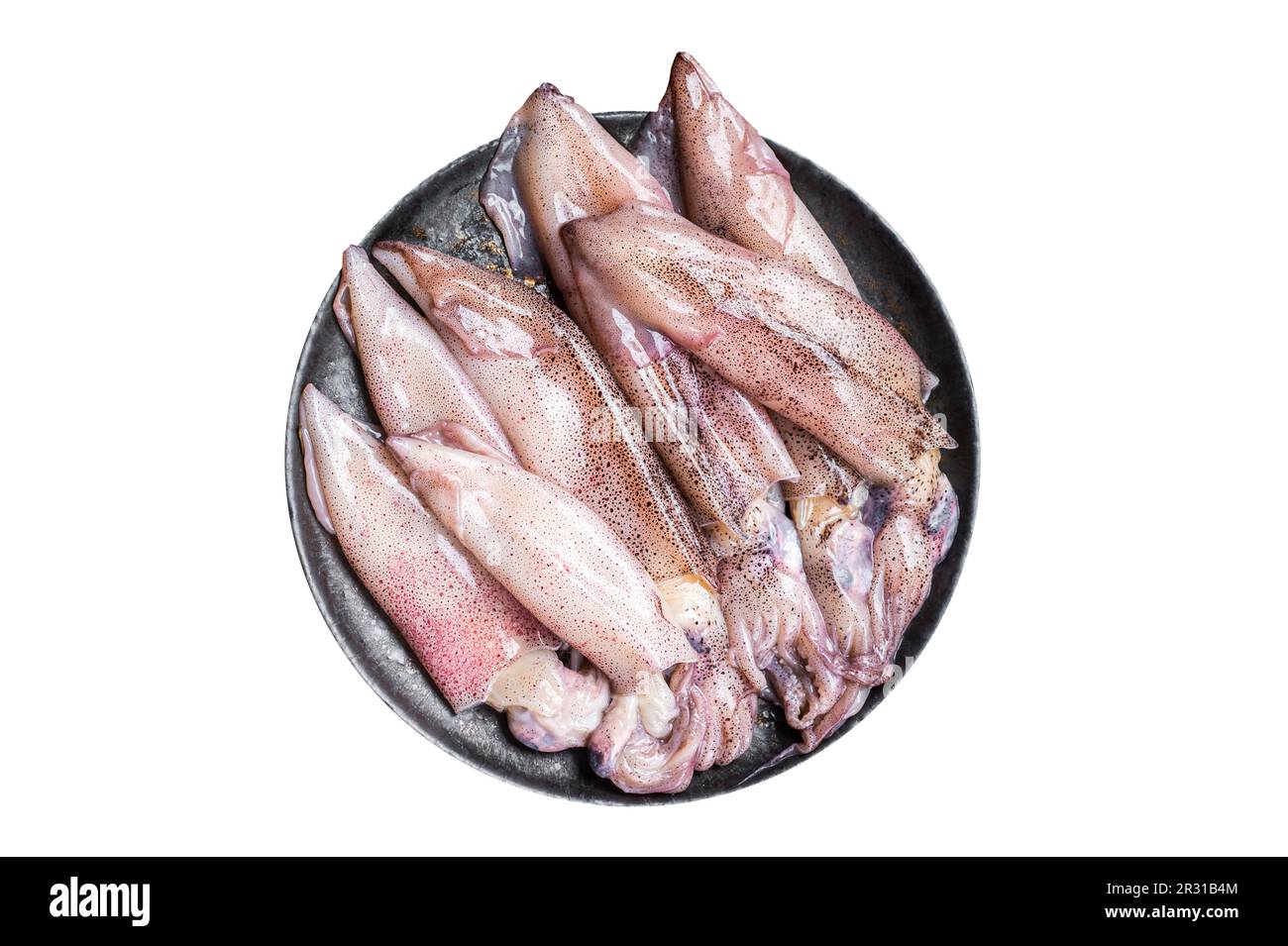 Raw squid, fresh calamari in a plate. Isolated on white background ...