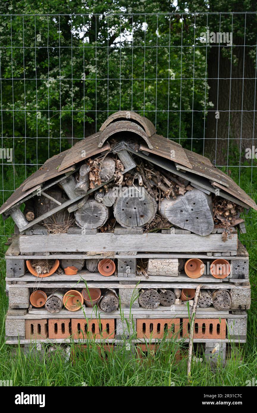 Bug Hotel. Surrey, UK Stock Photo - Alamy