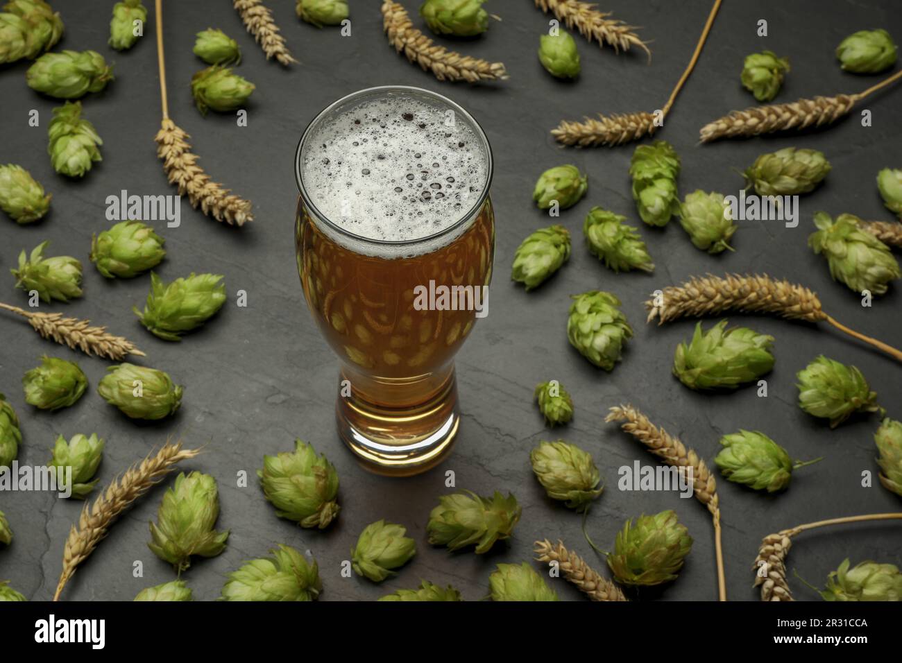 Glass of beer, fresh green hops and spikes on dark grey table Stock ...