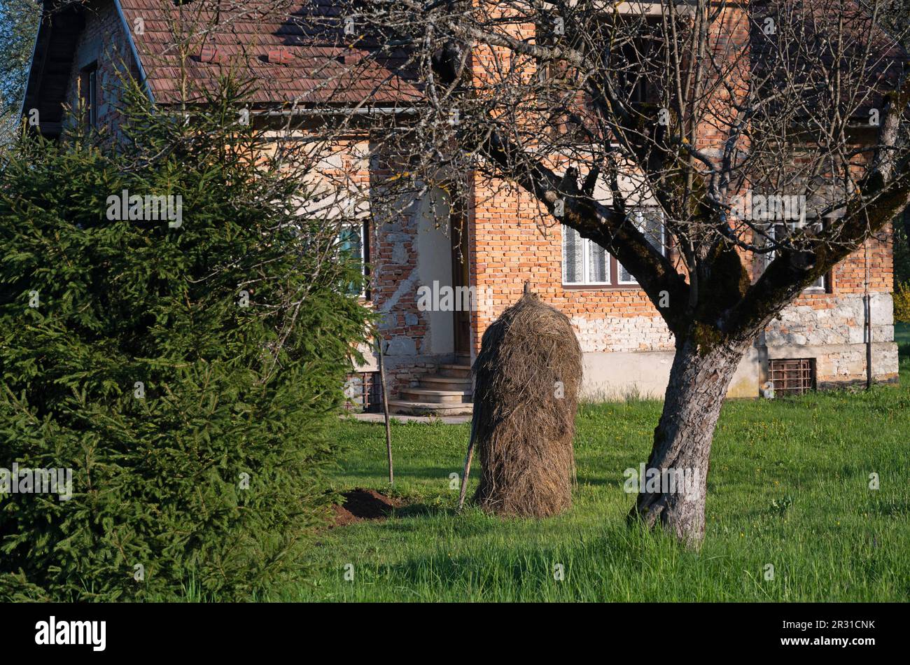Traditional agriculture traditional hi-res stock photography and images ...