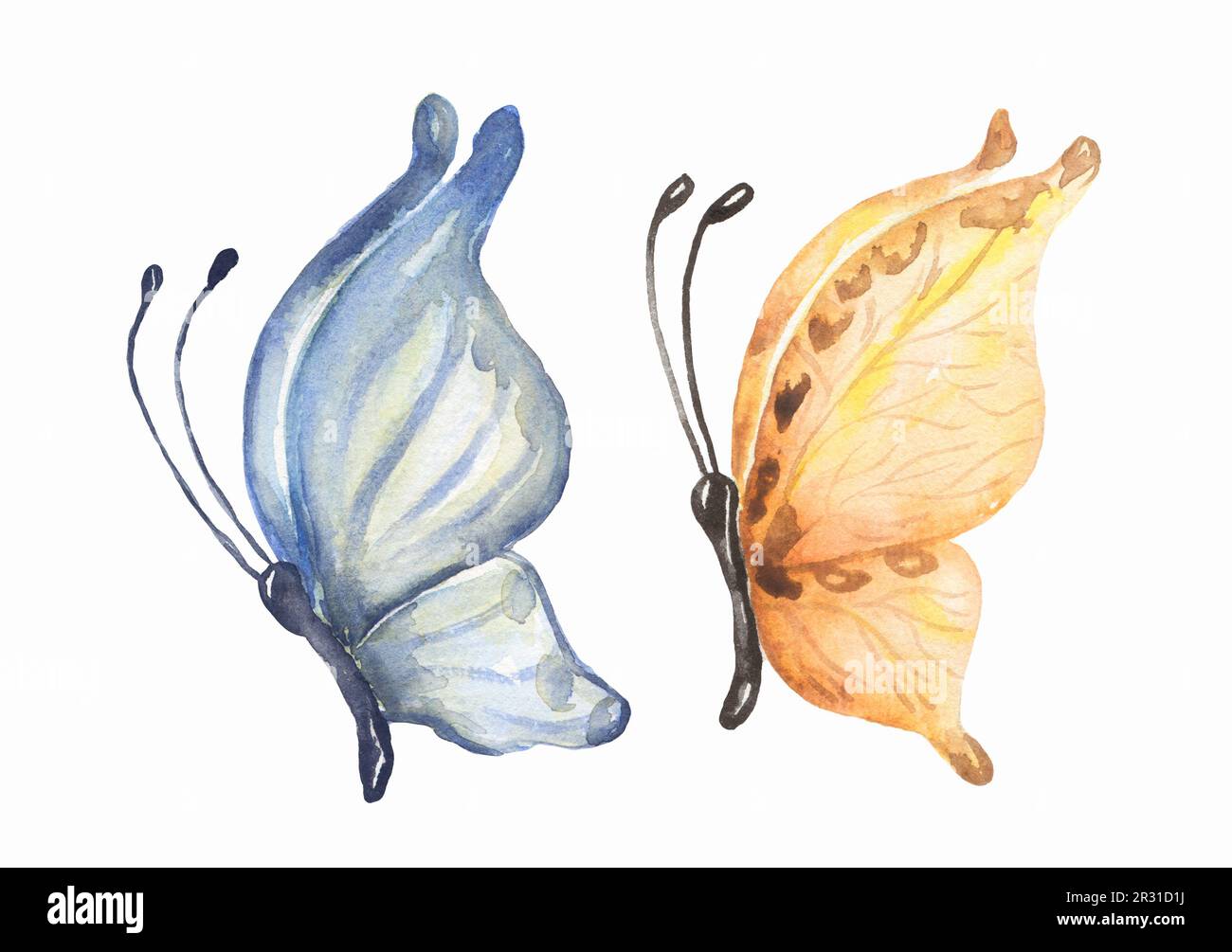 Butterfly Watercolor Clipart at Naomi Marshall blog