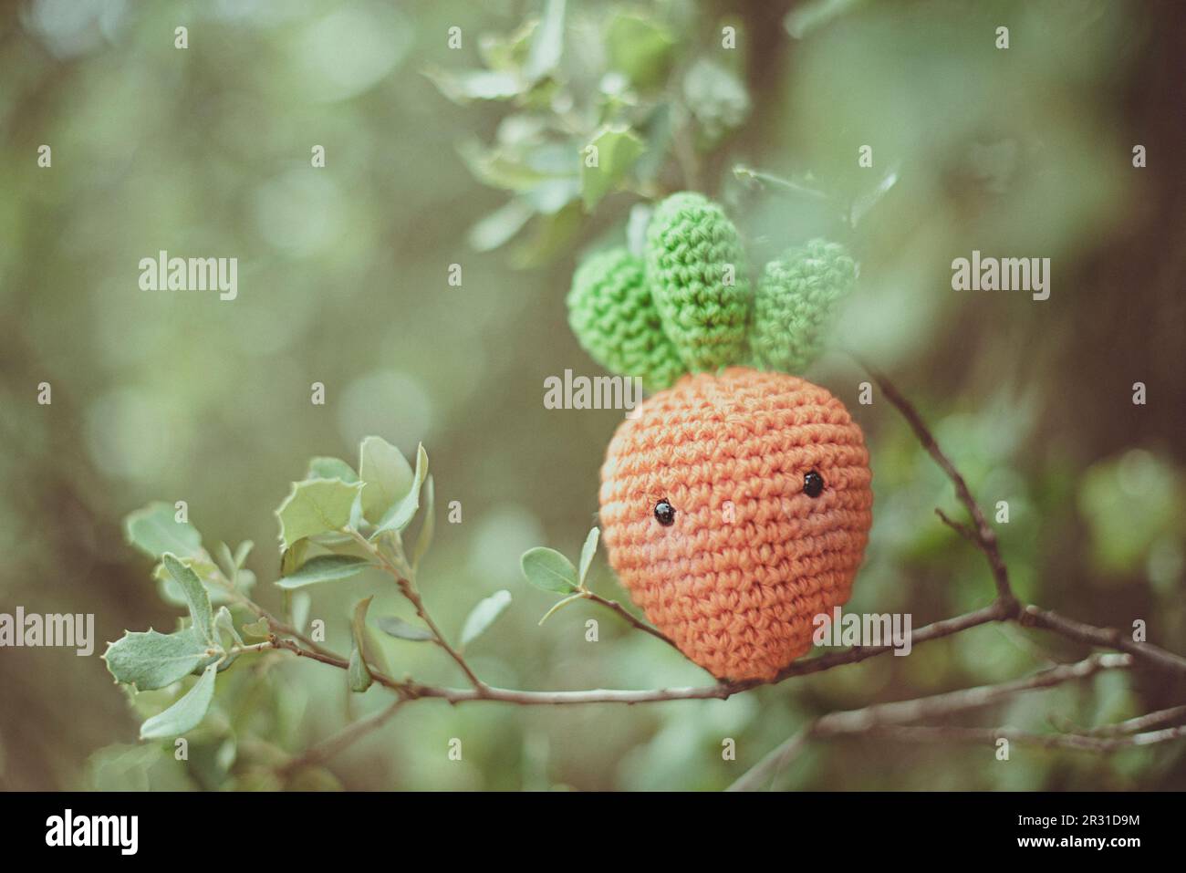Crochet carrot (Amigurumi) on a branch in the garden Stock Photo - Alamy