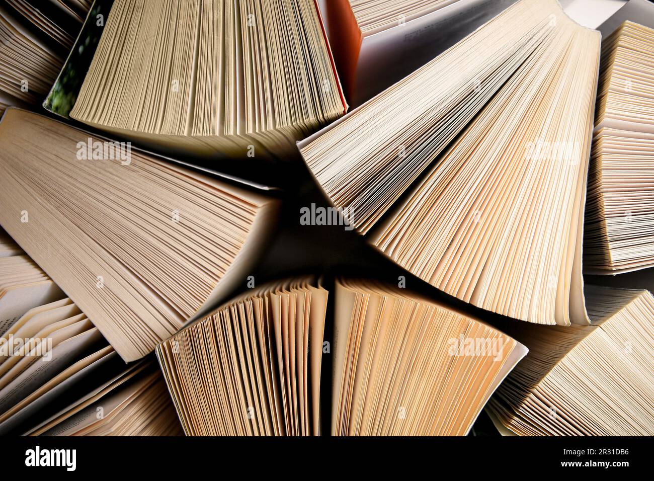 Collection of different books on white shelf, above view Stock Photo ...