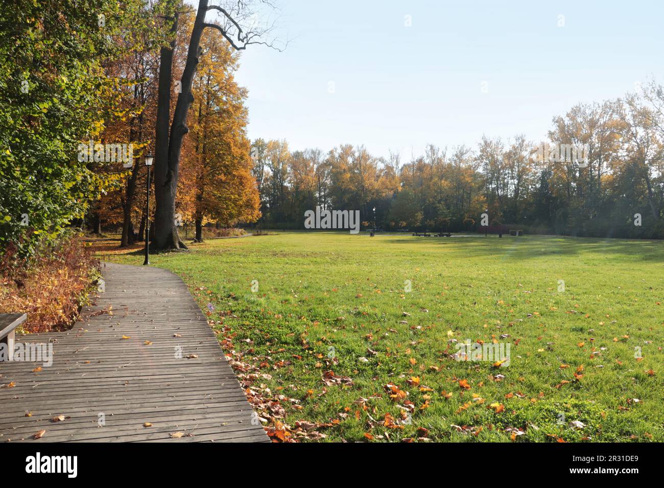 Picturesque view of park with beautiful trees and pathway on sunny day ...