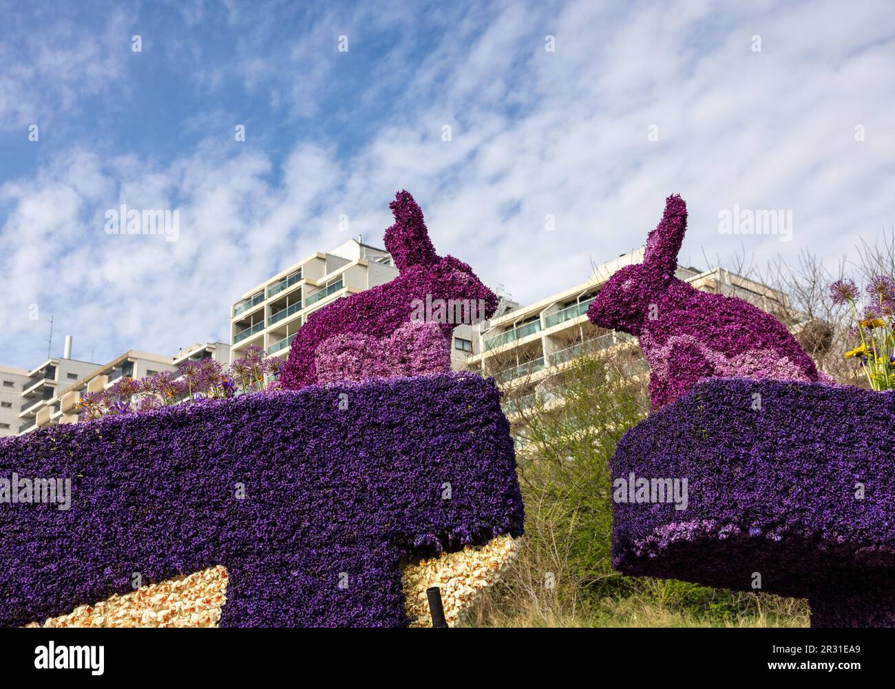 Noordwijk, Netherlands - April 22, 2023: Spectacular flower covered ...