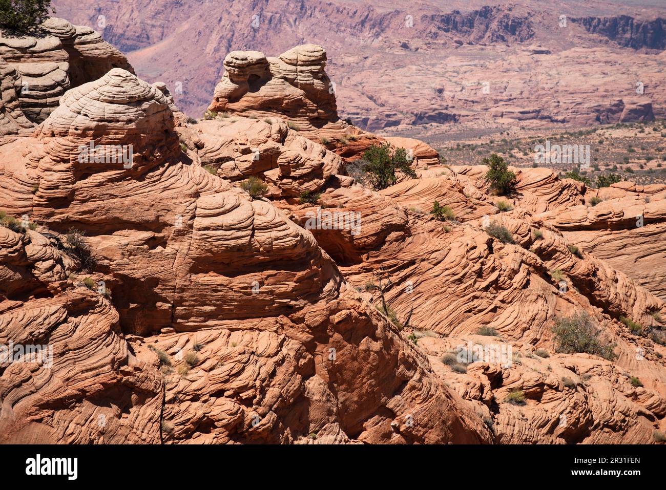 Desert Valley. Rock canyon background, rocky texture. Panorama of ...