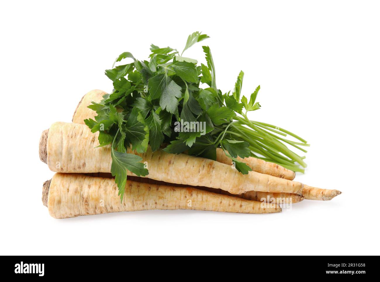 Raw parsley roots and bunch of fresh herb isolated on white Stock Photo ...