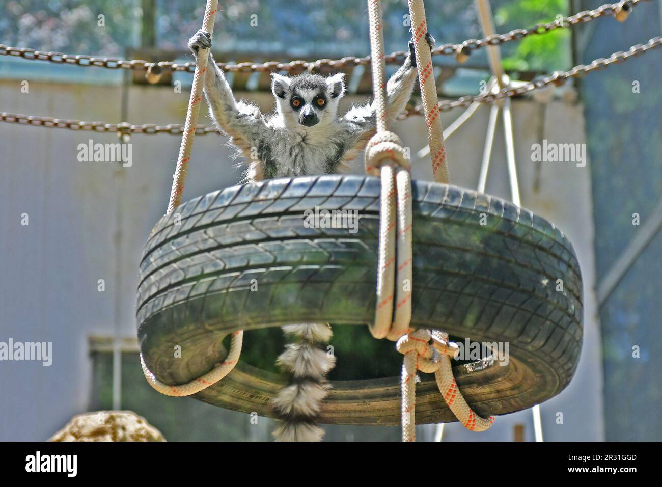 Yantai, China. 22nd May, 2023. YANTAI, CHINA - MAY 22, 2023 - Photo ...