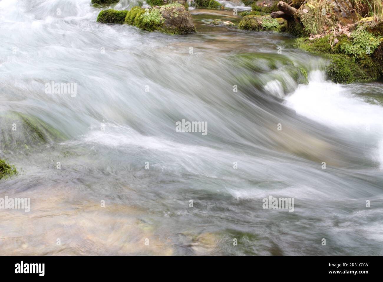 mountain stream in winter with fallen leaves and moss with water at ...