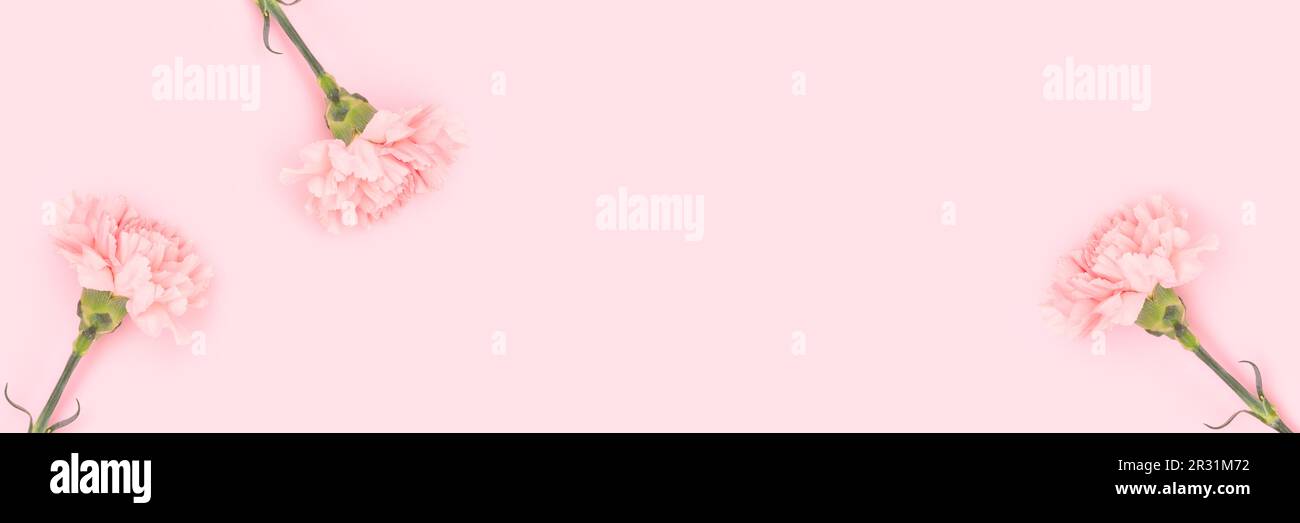 Twitter Headers Pink Flowers