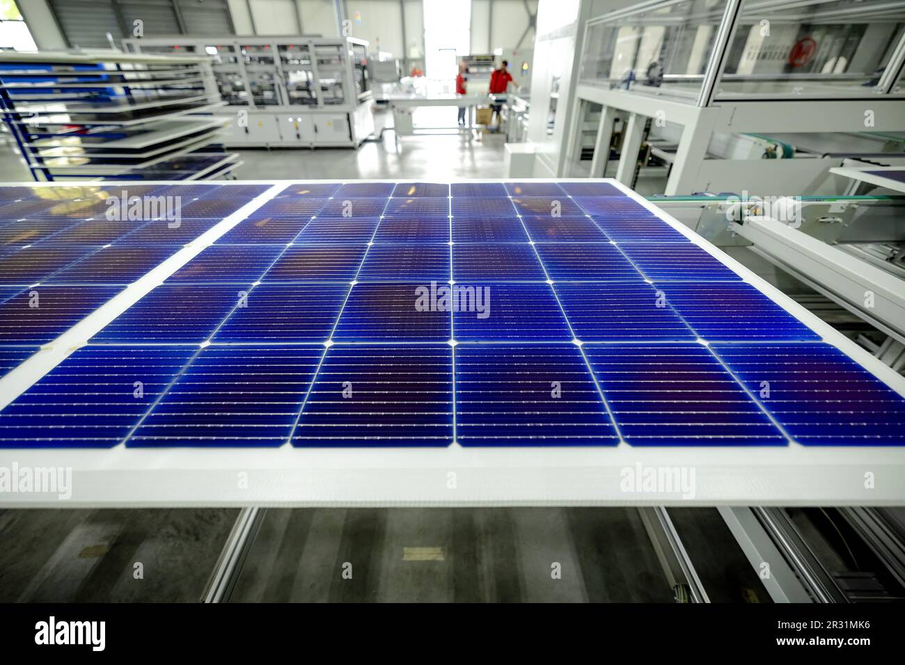 Solarge hi-res stock photography and images - Alamy