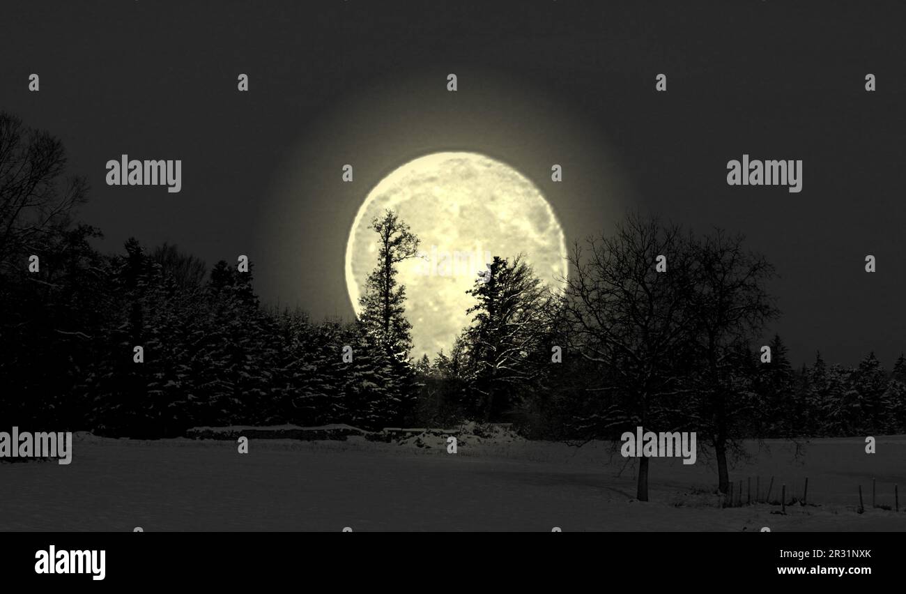 Ms vector hi-res stock photography and images - Alamy