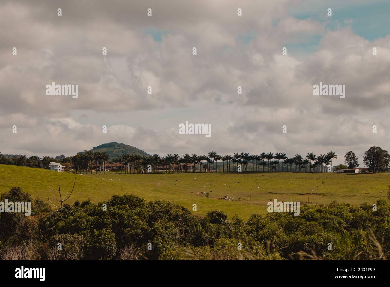 Landscape perspective view rows hi-res stock photography and images - Alamy
