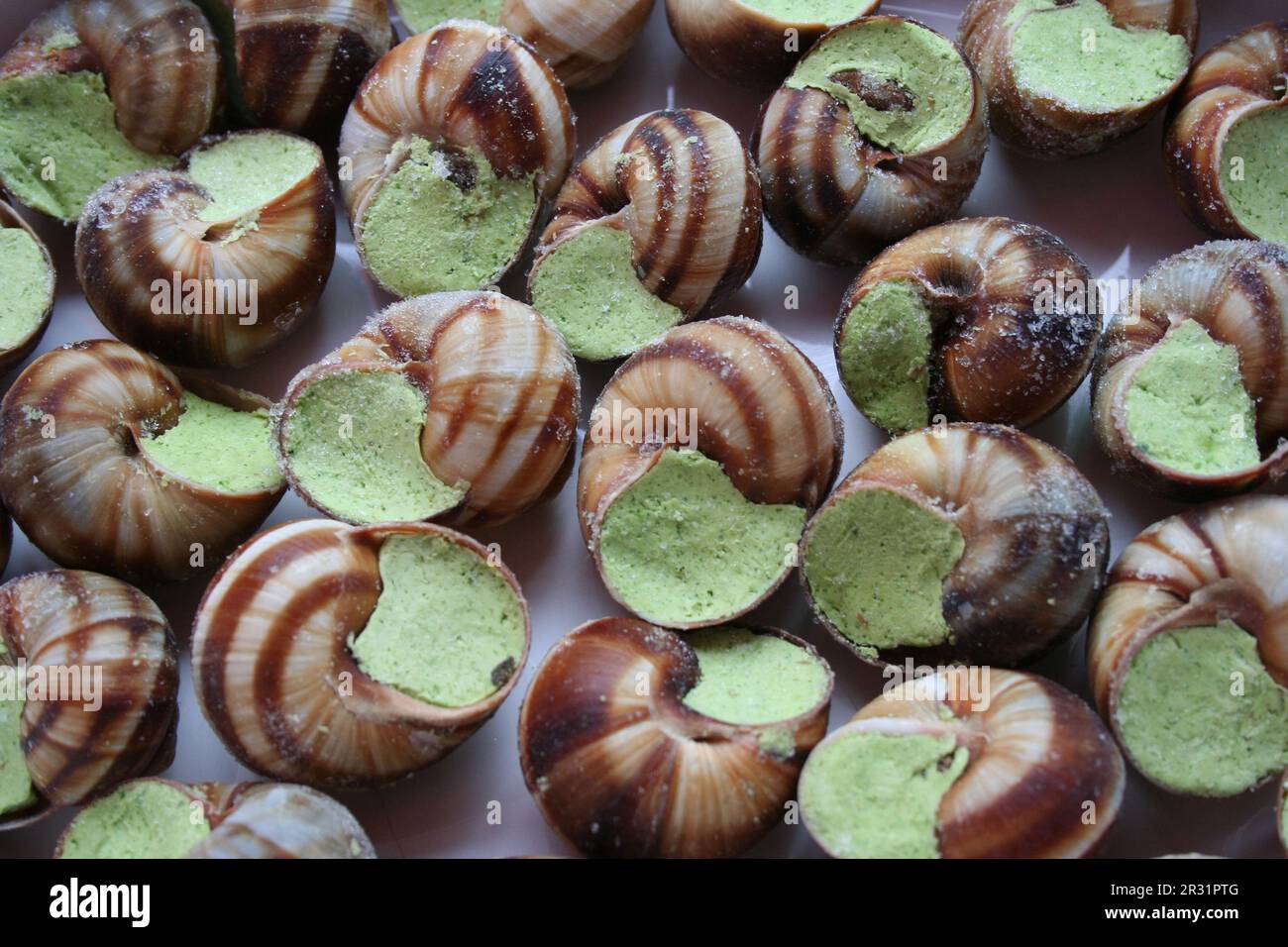 Snails and nature hi-res stock photography and images - Alamy