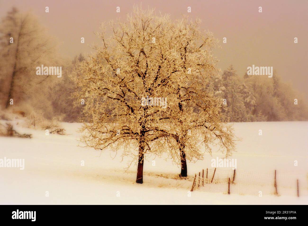 Dream more hi-res stock photography and images - Alamy