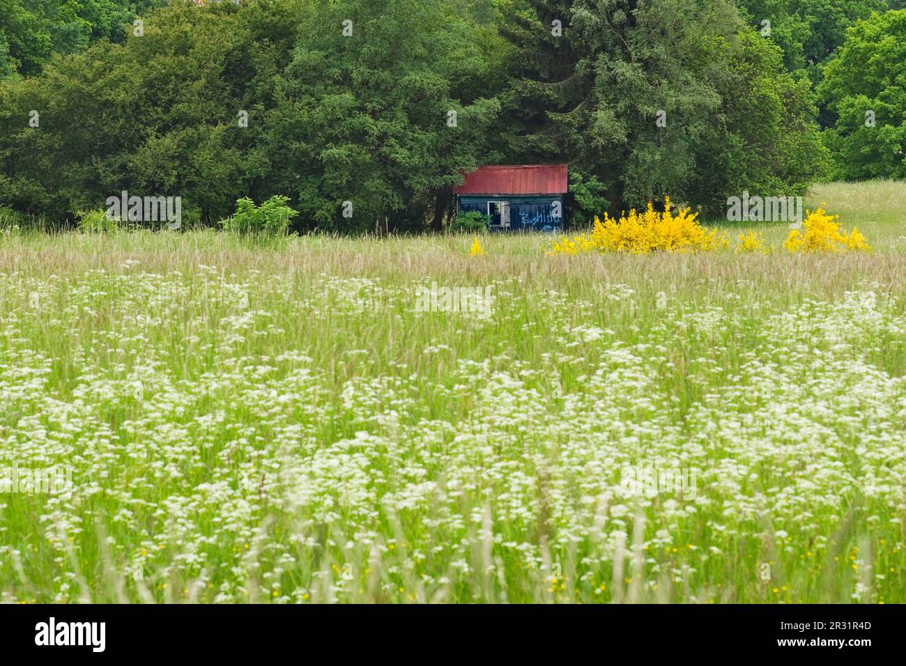 Corrugated iron cottage hi-res stock photography and images - Alamy