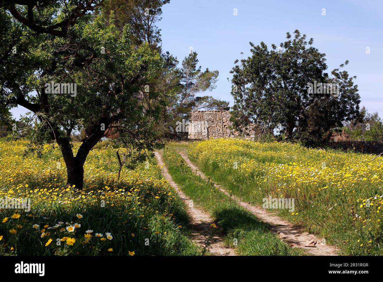 Land mallorca land hi-res stock photography and images - Alamy