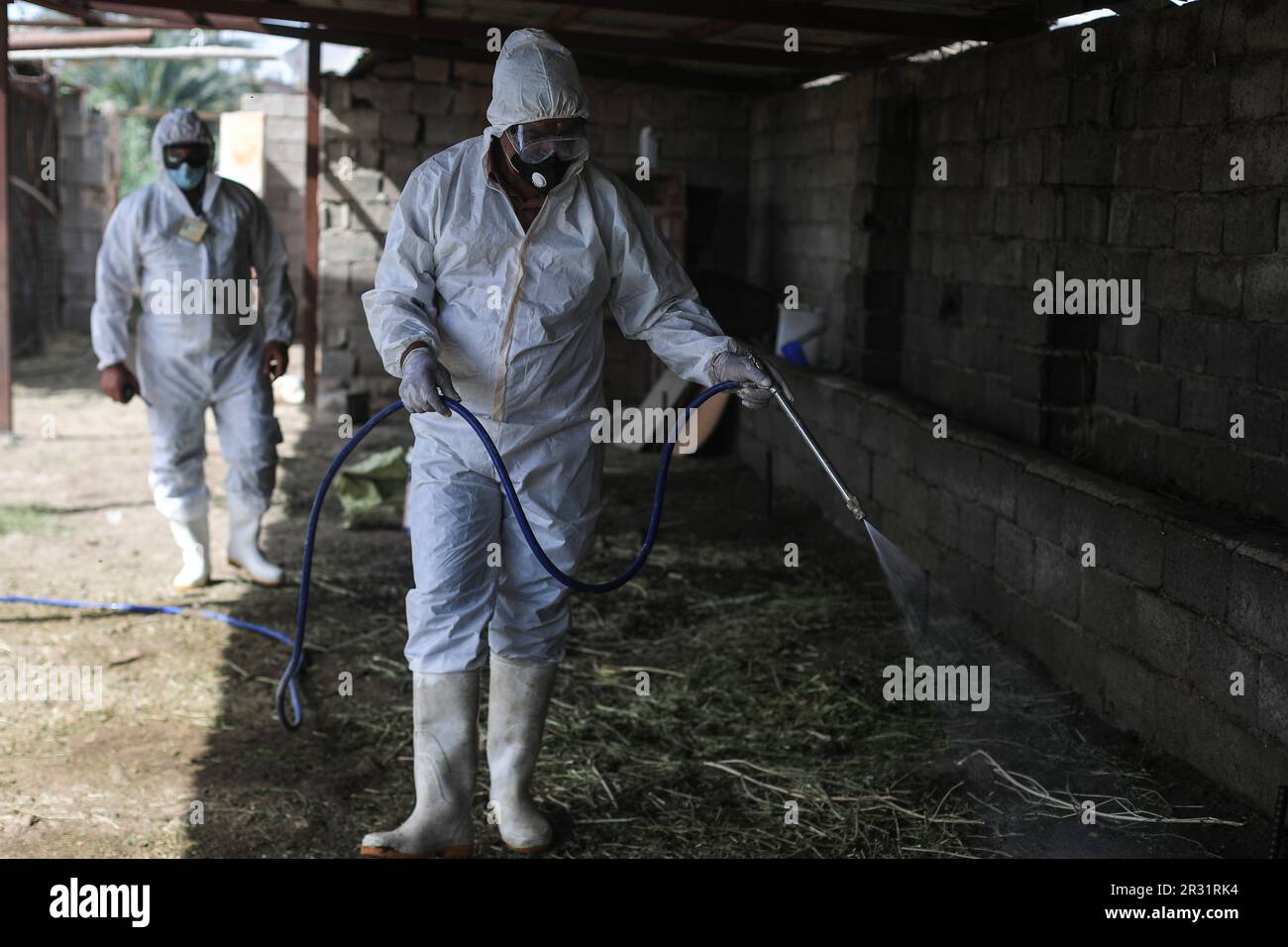 Baghdad, Iraq. 22nd May, 2023. Veterinaries spray disinfectant at a ...