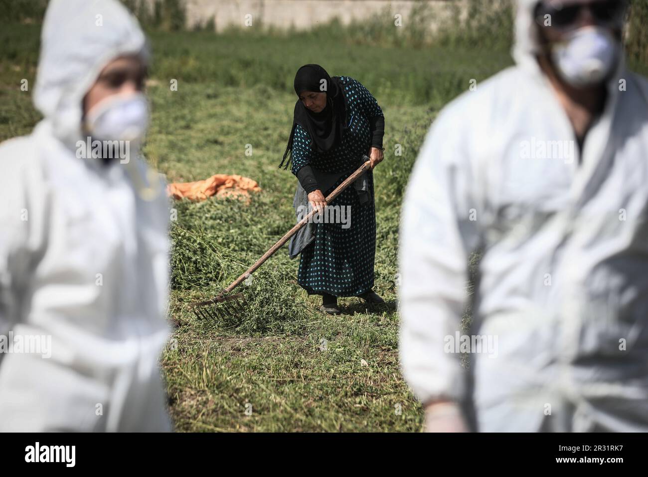 Crimean hemorrhagic fever hi-res stock photography and images - Alamy