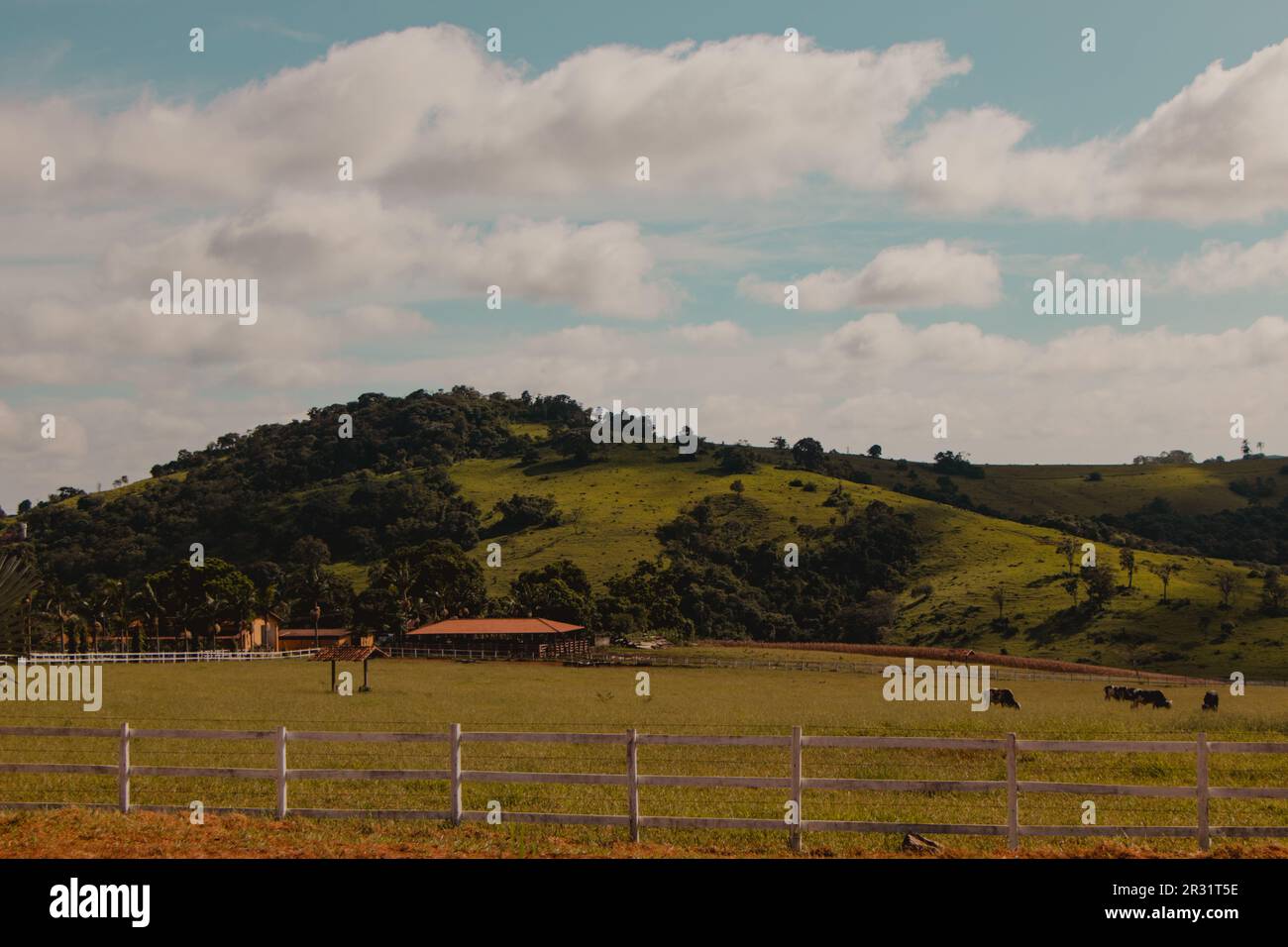 Countryside bucolic hi-res stock photography and images - Alamy