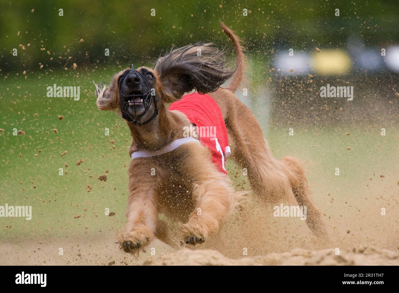 Sand fight hi-res stock photography and images - Alamy